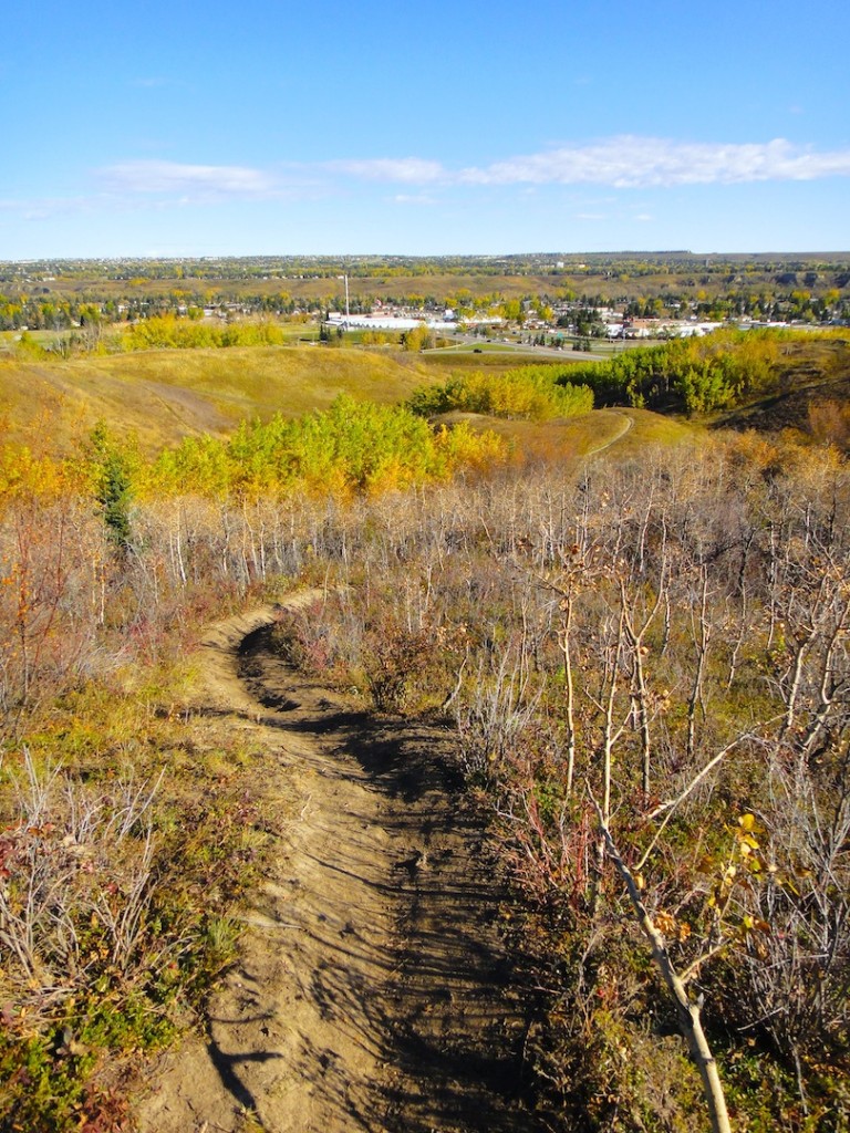 Paskapoo's Plight