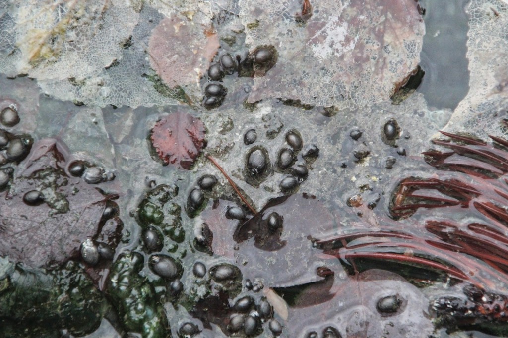 The Birthplace of Canada's National Parks