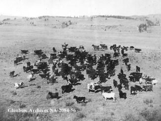 Historical Photos from the Stoney Nakoda Nation