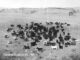 Historical Photos from the Stoney Nakoda Nation