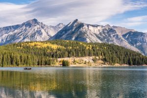 Wild Jobs: Warden Service Dog Handler