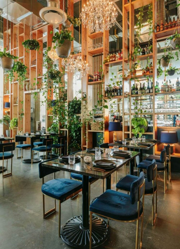 Orchard Restaurant: A Mediterranean Escape in Downtown Calgary