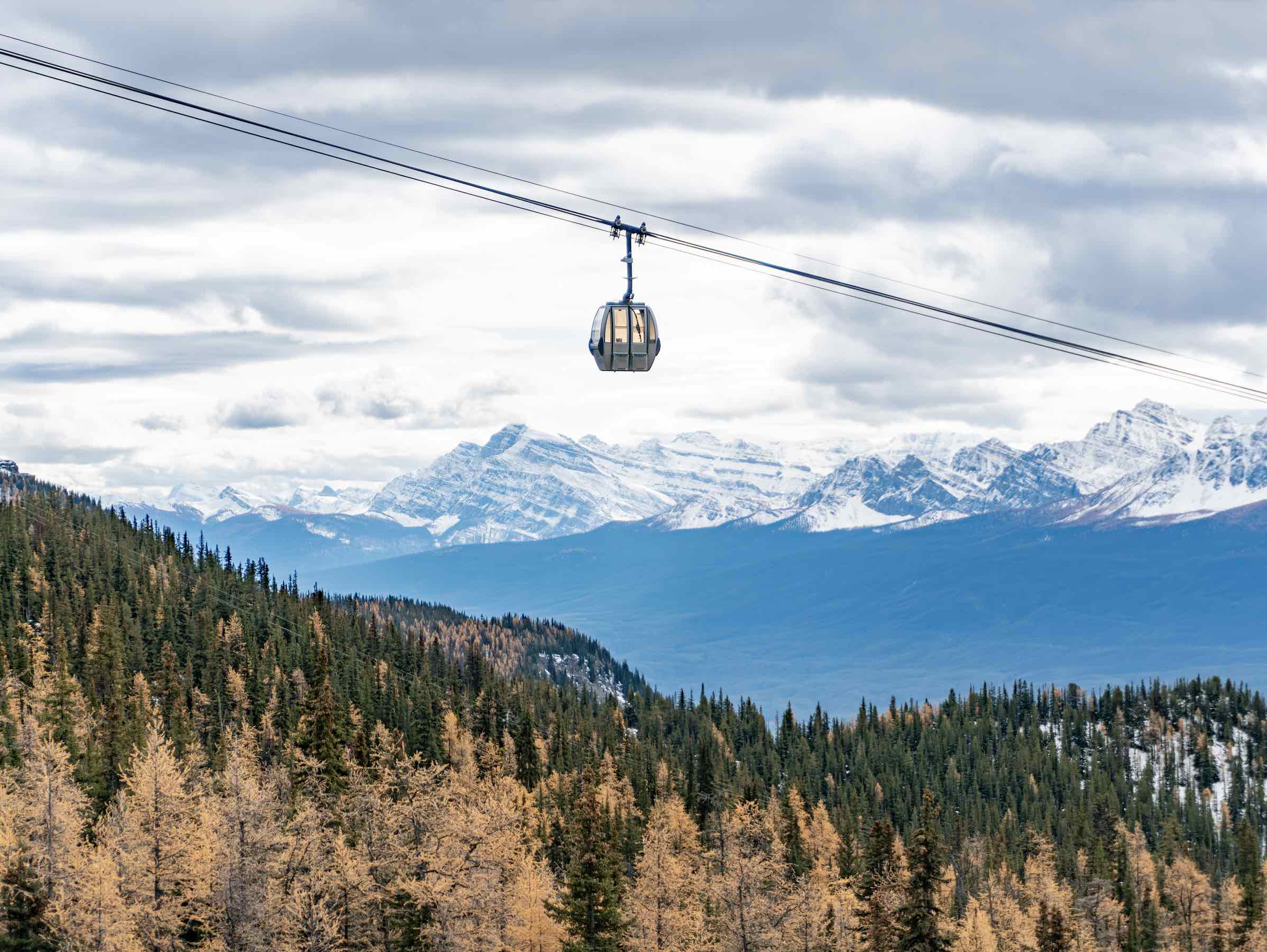 Discover Larches at the Lake Louise Summer Gondola