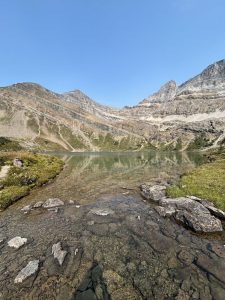 Hidden Lake: A Conservation Success Story