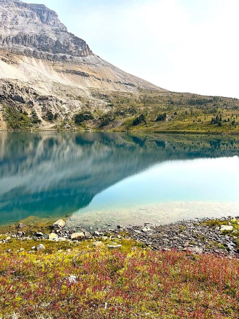 Hidden Lake: A Conservation Success Story