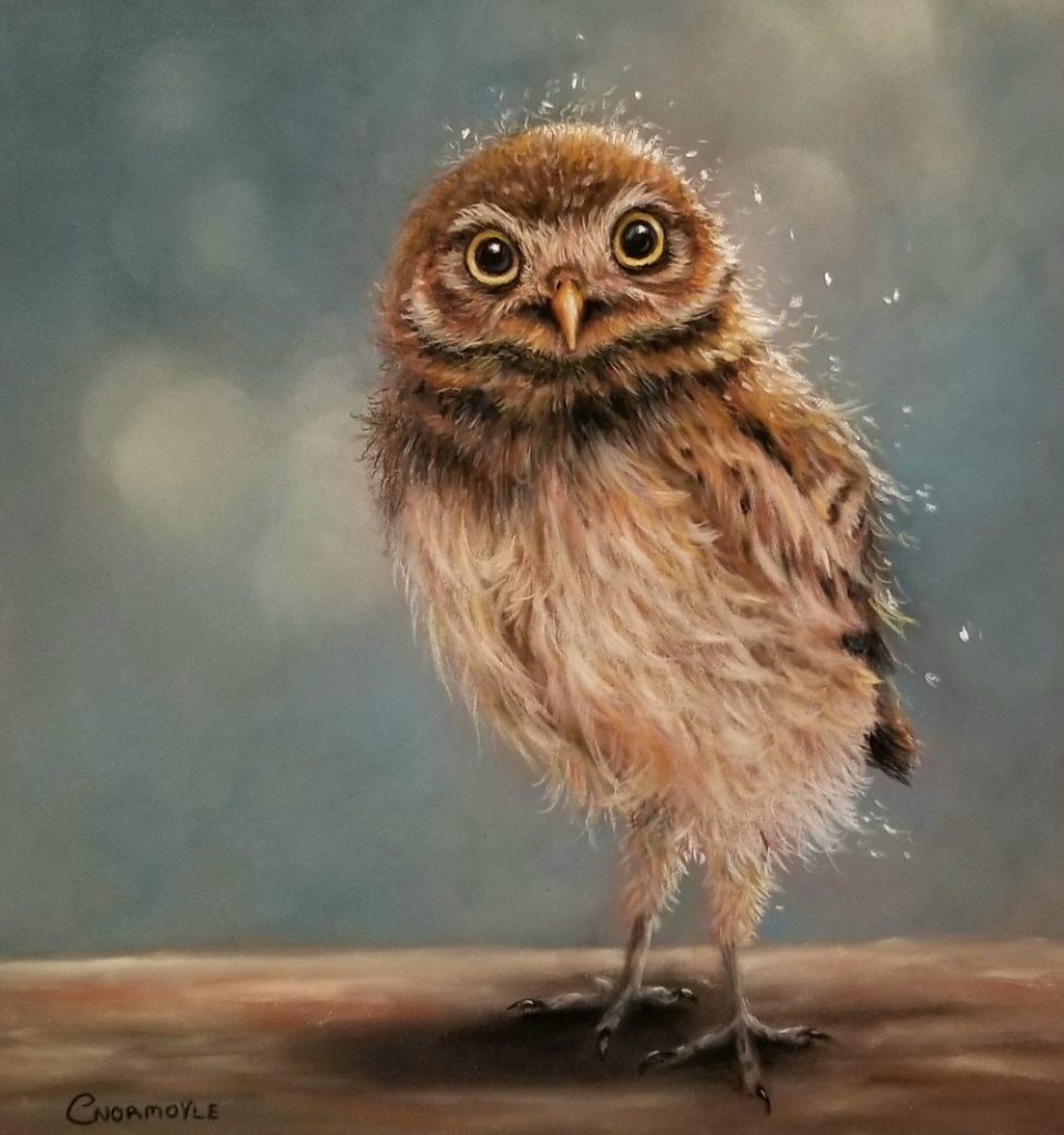 "A Day in the Life" with: Calgary Visual Artist Christine Normoyle