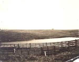 Old Photographs of Ranches from Across Alberta (1892-1972)
