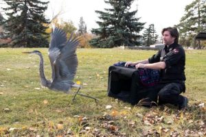 Charitable Choices: Dale Gienow of WILDNorth